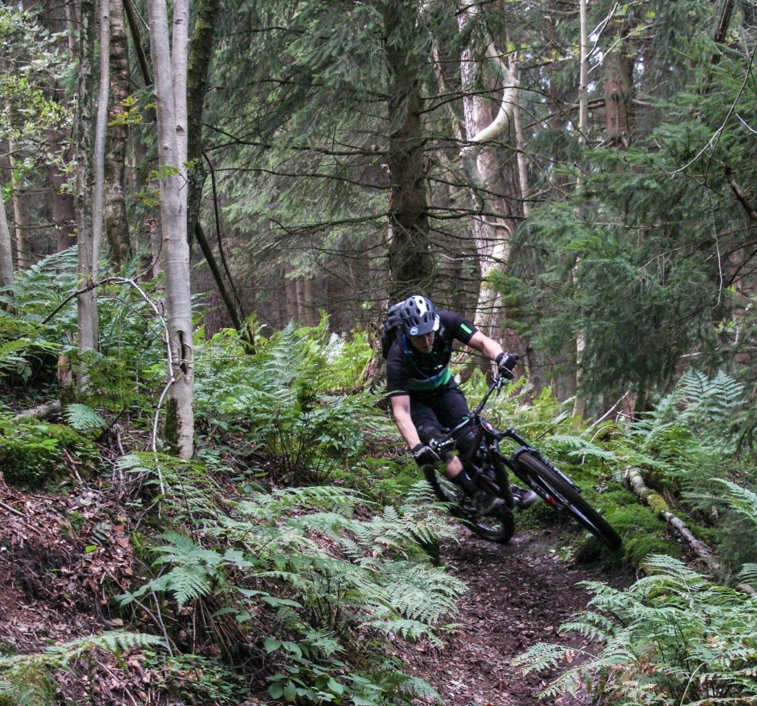Im Test: GORE Wear Power Trail | bike-components