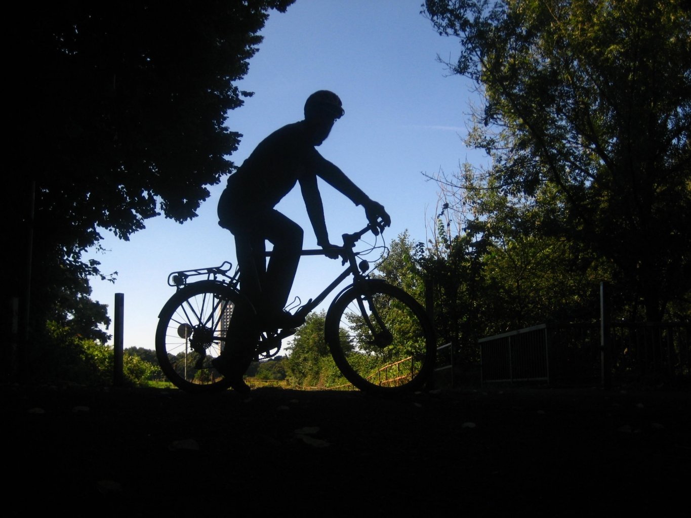 Fahrbericht: Schwalbe Marathon Supreme... | bike-components