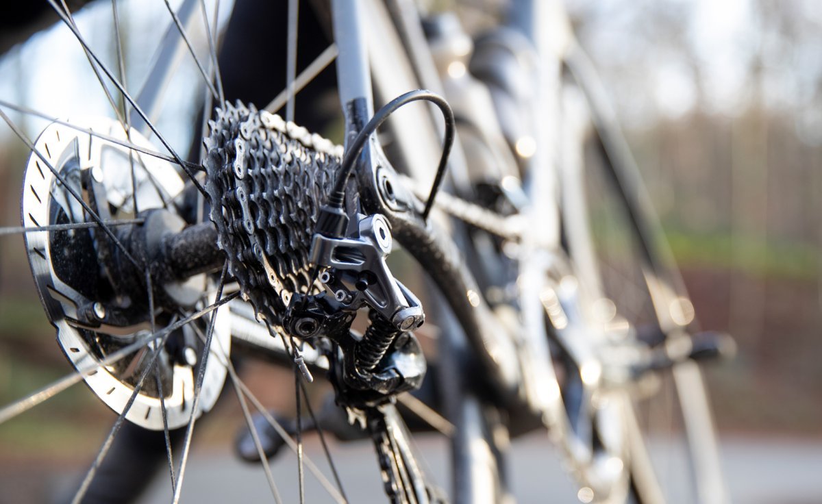 Freilauf und Freilaufkörper: Funktion,... | bike-components