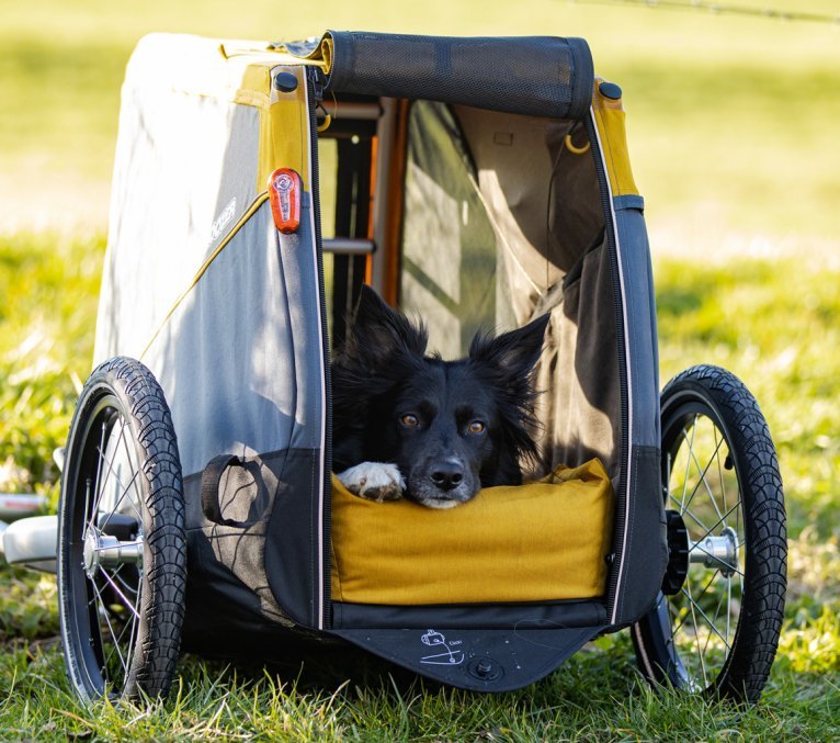 Croozer Dog Peppa: moderner Hundeanhänger... | bike-components