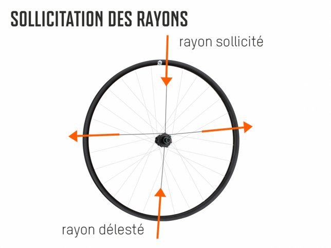 Construire des roues : les bases pour ta... | bike-components