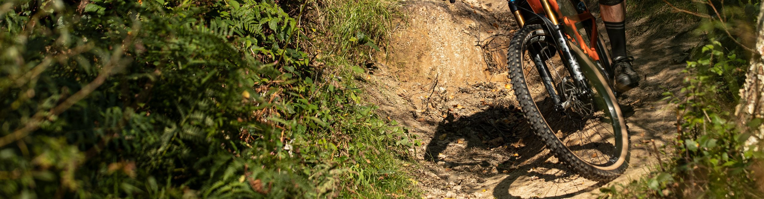 Roues et set de roues de 29" | bike-components