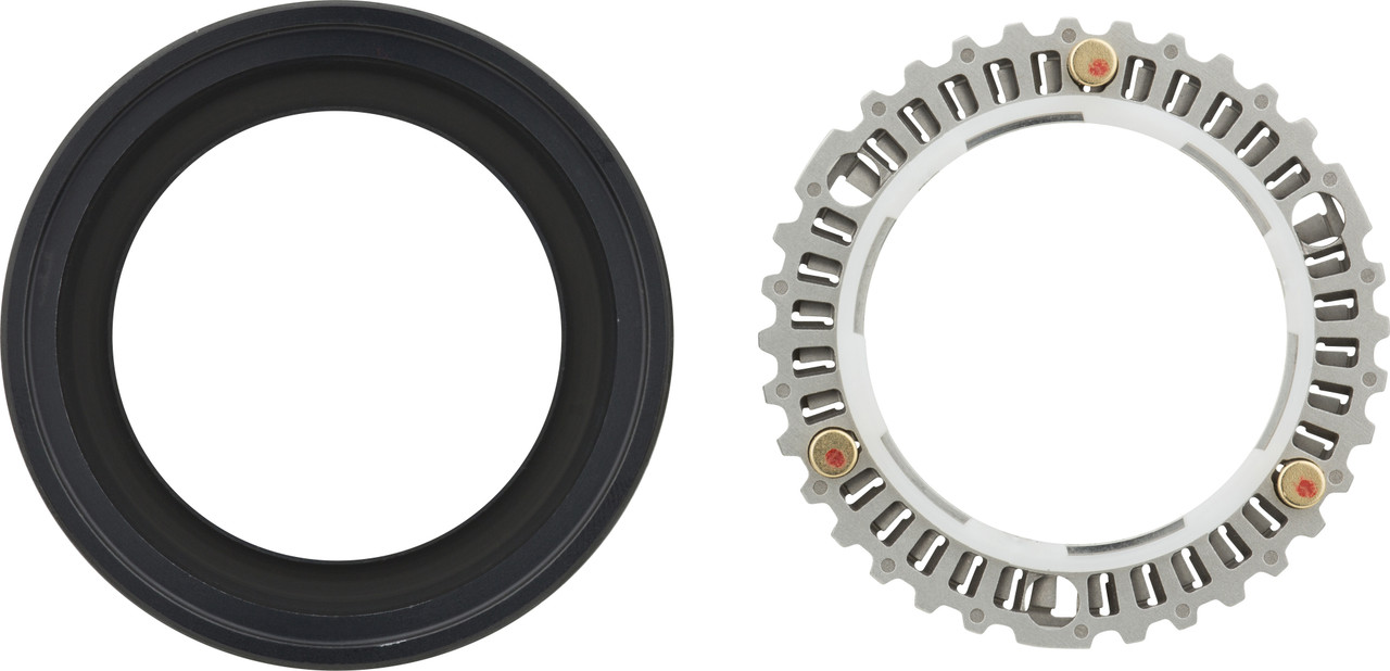 Zipp Clutch Ratchet for Cognition Disc V1 & Gen 2 Hubs | bike-components