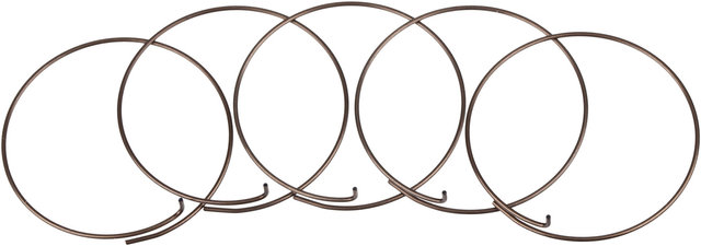 Fulcrum 5-RM0-005 Pawl Springs for MTB Freehub Bodies | bike-components