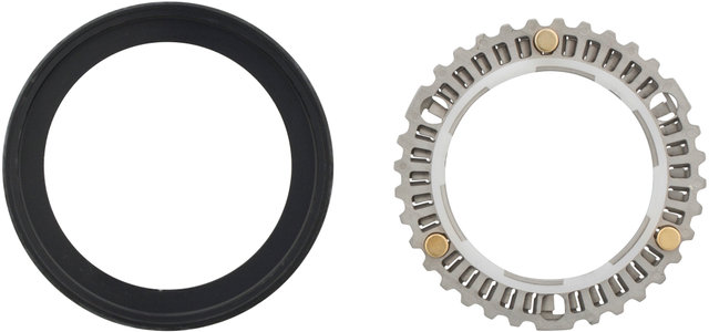 Zipp Clutch Ratchet for Cognition V1 Rear Hubs | bike-components