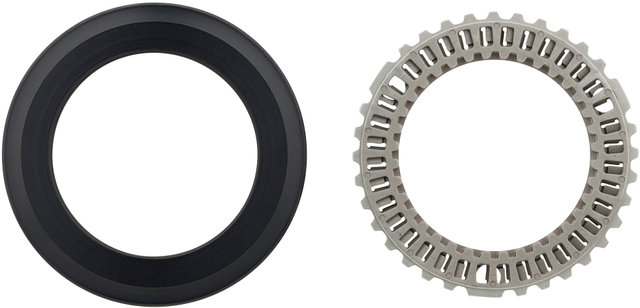 Zipp Clutch Ratchet for Cognition Disc V1 & Gen 2 Hubs | bike-components