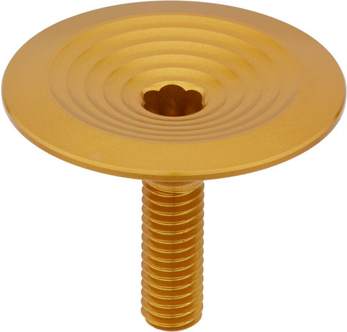 absoluteBLACK Premium Integrated Top Cap Ahead Kappe | bike-components