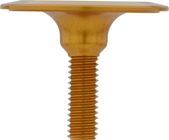 absoluteBLACK Premium Integrated Top Cap Ahead Kappe | bike-components