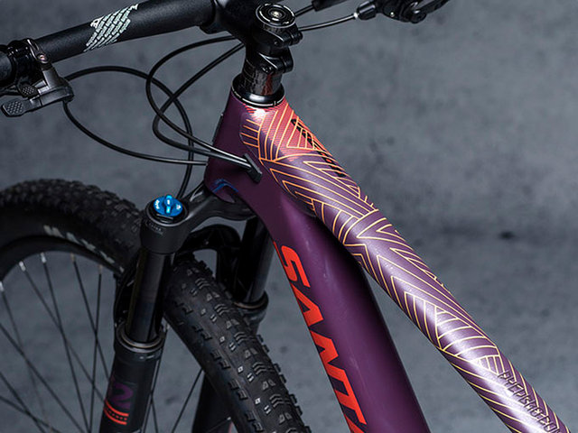 DYEDBRO MTB Frame Protection Film Set | bike-components