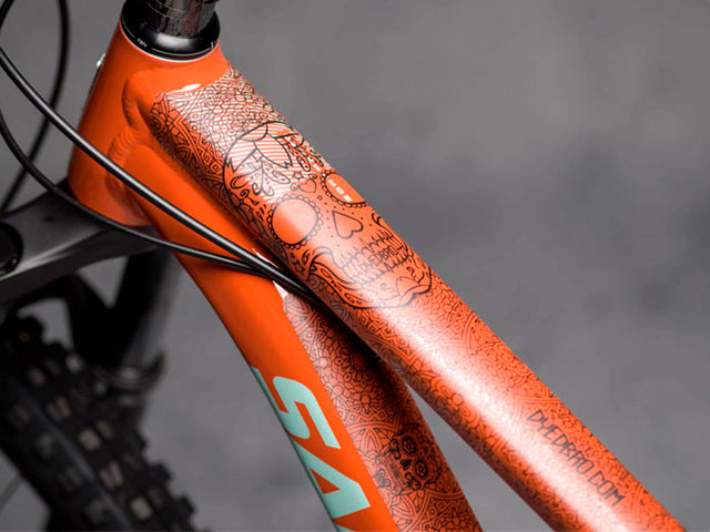 DYEDBRO MTB Frame Protection Film Set | bike-components