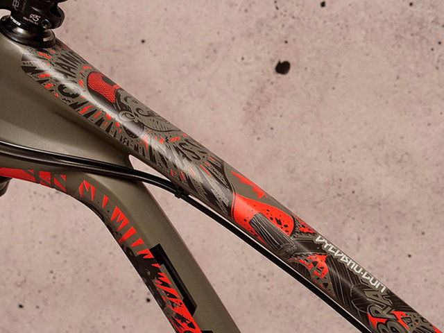 DYEDBRO MTB Frame Protection Film Set | bike-components