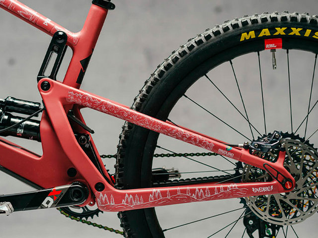 DYEDBRO MTB Frame Protection Film Set | bike-components