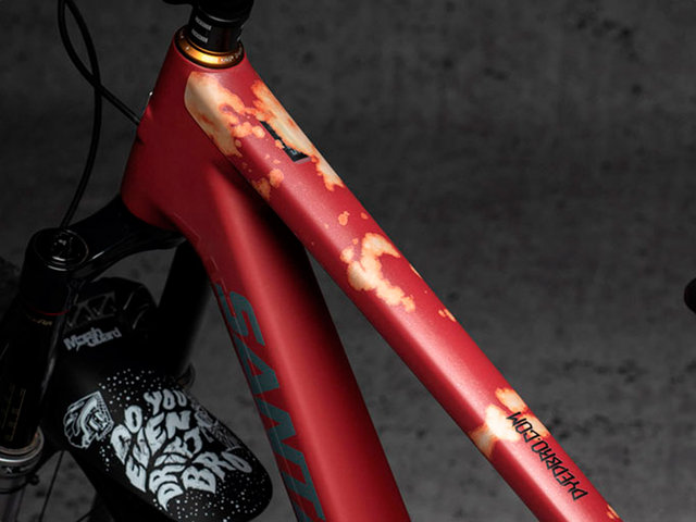 DYEDBRO MTB Frame Protection Film Set | bike-components