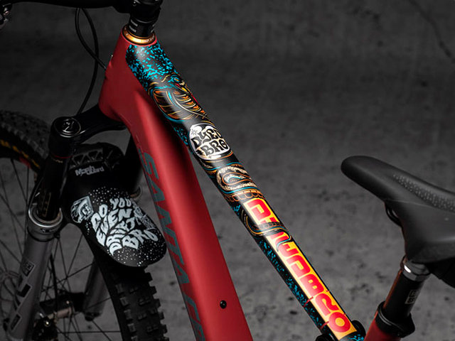 DYEDBRO MTB Frame Protection Film Set | bike-components