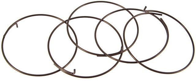 Fulcrum 5-R1-015 Pawl Springs for Road Freehub Bodies | bike-components